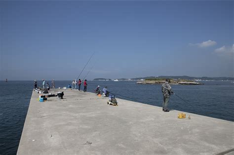 釣り堤防釣 見どころ 日間賀島観光ナビ