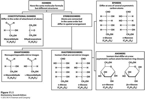 Isomers Flashcards Quizlet