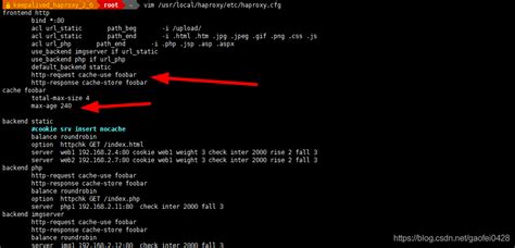实现 KeepAlive + Haproxy + Nginx 七层负载均衡 + 动静分离_nginx+haproxy+keepalived-CSDN博客