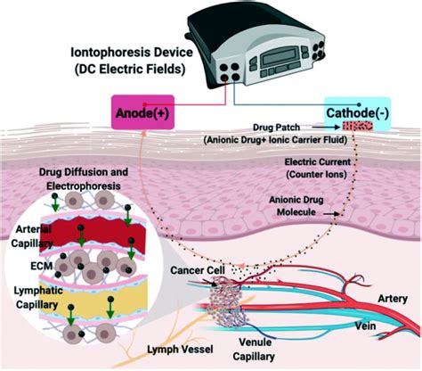 Microfluidic Chip Cancer Tumour Cells Ufluidix