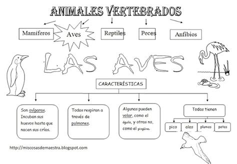 El Aula Hobbit Esquemas Grupos De Vertebrados