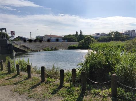 長津川緑地 長津川親水公園 船橋市旭町 公園 Yahoo マップ