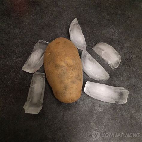 감자로 표현한 디즈니 공주들 인스티즈instiz 이슈 카테고리