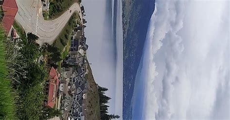 Random Photos On My Phone Album On Imgur