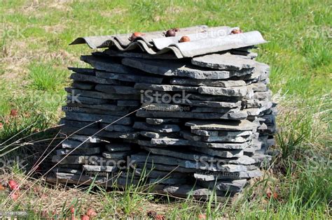 나무 팔레트에 대충 잘라 돌 타일의 더미 지붕 타일과 포경 잔디로 둘러싸인 타락 한 사과 덮여 0명에 대한 스톡 사진 및 기타 이미지 Istock