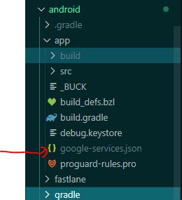Bug Error App ProcessDebugGoogleServices Issue Chatwoot Chatwoot Mobile App GitHub