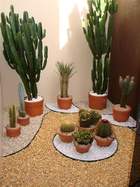 Decoração De Jardim Simples E Pequeno