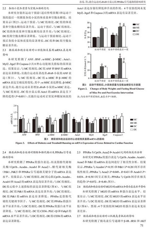 期刊部 跑台运动对db Db小鼠心肌pparα信号通路的影响研究