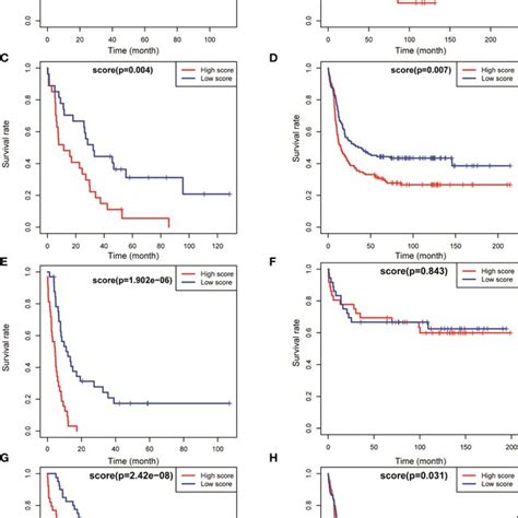 kaplan meier survival analysis of os for patients in different nccn