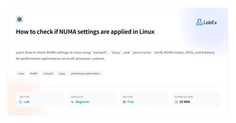 how to check if numa settings are applied in linux labex