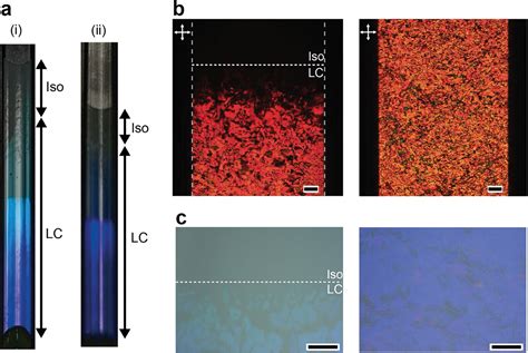 2d Photonic Colloidal Liquid Crystals Composed Of Self‐assembled Rod‐shaped Particles Kato