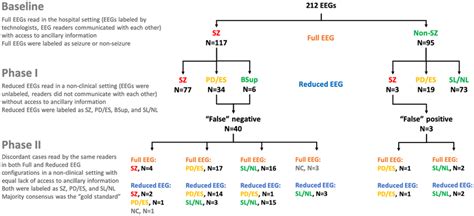 Flowchart Of Findings From Phase I And Ii Bsup Burst Suppression Eeg
