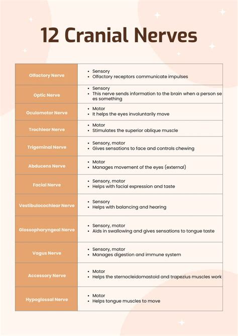 Cranial Nerves Names Of The 12 Cranial Nerves Mnemonic And Funct Bilarasa