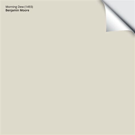 Morning Dew 1493 9x1475 Benjamin Moore X Samplize