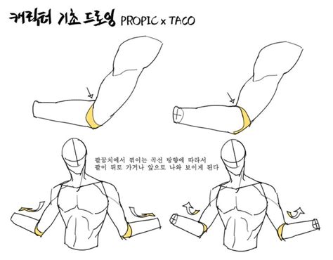 타코작가 on twitter tutorial de anatomía referencia de anatomía cosas