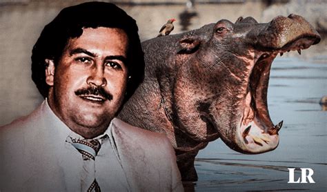 Pablo Escobar Y Su Hipopótamo Película Se Estrenará En La Berlinale