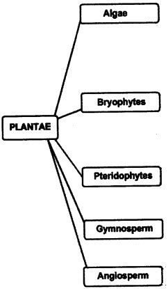 NCERT Solutions For Class 9 Science Chapter 7 Diversity In Living Organisms