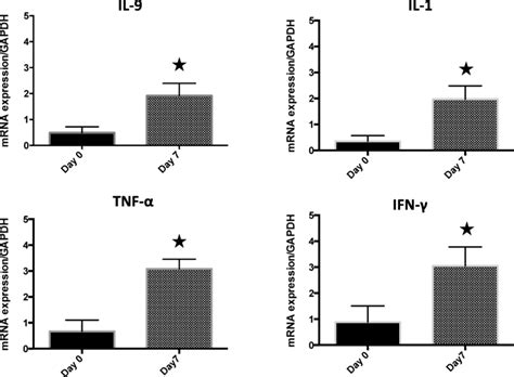 Il 9 Il 1β Tnf α And Inf γ Mrna Expressions In The Interstitial