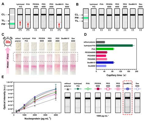 Enhancing Sensitivity In Sars Cov 2 Rapid Antigen Testing Through Integration Of A Water Soluble