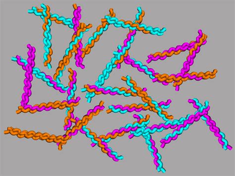 Making Sense Of The Chaos Of Collagen Self Assembly Chemistry Community