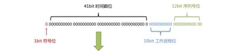 mybatisplus常用的注解 csdn博客