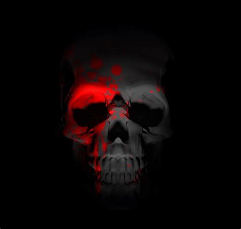 Skull 8 Best Drum Wrap Company