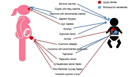 Iris Агаарын бохирдлын нарийн ширхэгт тоосонцор Pm2 5 Pm10 гэж юу вэ🤔 Хүний үйл