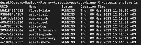 Bug `kurtosis Clean A` Only Prints The Name Of Some Enclaves Not All · Issue 133