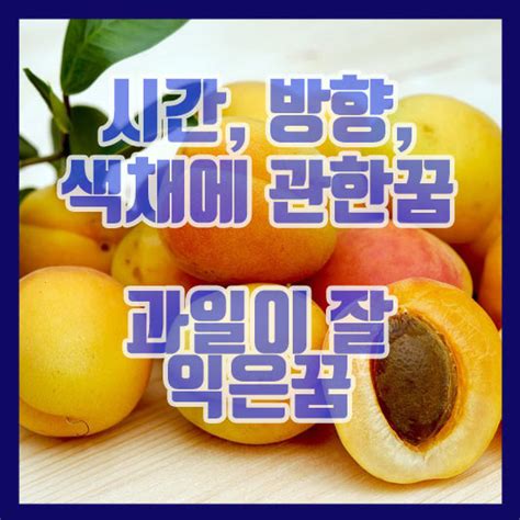 꿈해몽 시간 방향 색채에 관한 꿈 과일이 잘 익은 꿈 동쪽에서 해가 뜬 꿈 여러가지 색깔이 혼합된 꿈