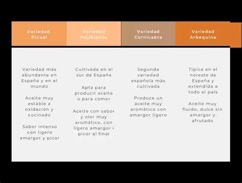 Todo Sobre El Aceite De Oliva Propiedades Y Beneficios INuba