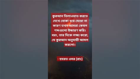 কোরআন তেলাওয়াত করলে কি হয় ইসলামিকভিডিও Religion Motivation