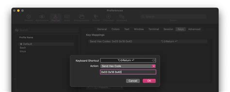 Org Mode Keycode For Shift Return On OS X Iterm2 Emacs Stack