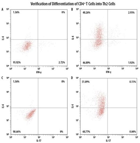 Human Th2 Cell Differentiation Kit Cdk002 Randd Systems