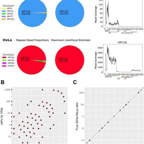 Evaluation Of Hpv Em Using Cell Line And Simulated Data A Hpv Em