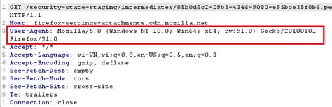 Gi I Thi U V K Thu T Regular Expression Denial Of Service