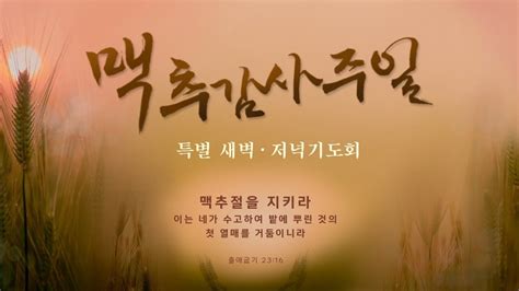 서산성결교회 맥추감사주일 특별저녁기도회 2024년 7월 2일 Youtube