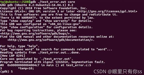 Gdb基本操作gdb 循环 Csdn博客