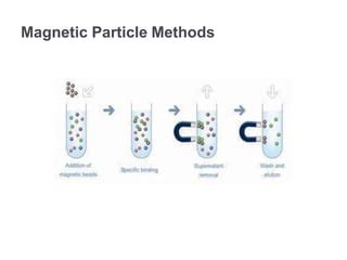 RNA Isolation Methods PPT