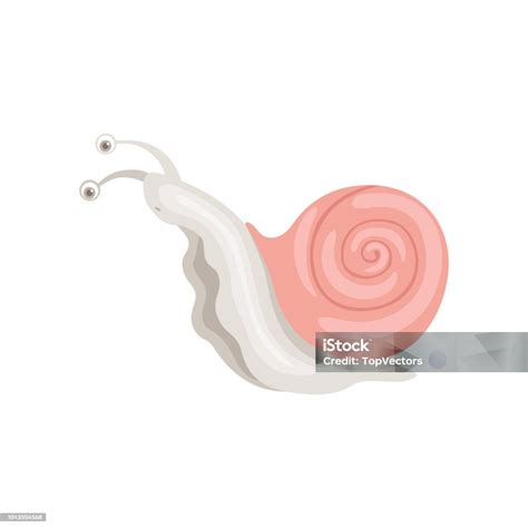 흰색 바탕에 핑크 쉘 벡터 일러스트 레이 션과 쾌활 한 작은 정원 달팽이 갈색에 대한 스톡 벡터 아트 및 기타 이미지 갈색