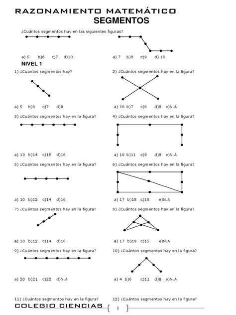 Segmentos Pdf