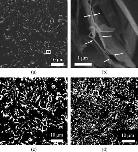 Scanning Electron Microscopy Sem Micrographs Of A Composite A
