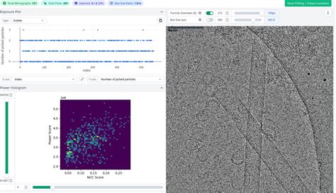 Inspect Particle Picks Does Not Shown The Picked Particles Filaments