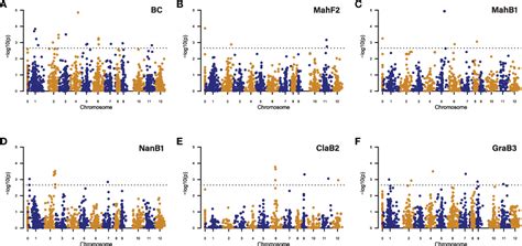 Figure 1 From Mapping Qtls For Blight Resistance And Morpho Phenological Traits In Inter Species