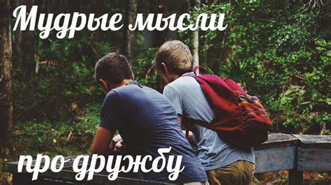ЦИТАТЫ ПРО ДРУЖБУ Мудрые мысли афоризмы изречения про друзей Youtube