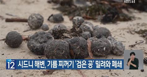 기후는 말한다 시드니 해변 기름 찌꺼기 ‘검은 공 밀려와 폐쇄