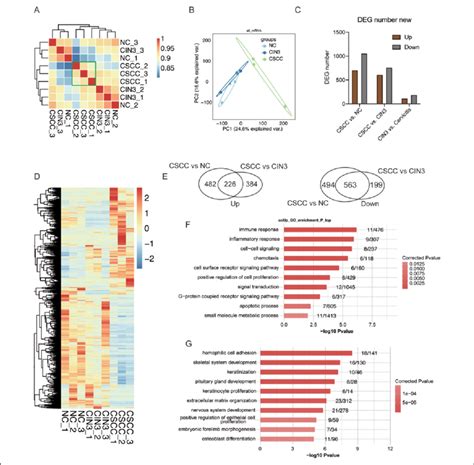 Rna Seq And Deg Results A Heat Map Showing The Gene Expression Download Scientific Diagram