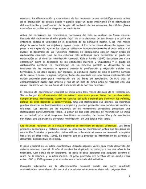 Maduración Cerebral Y Desarrollo Cognoscitivo Pdf