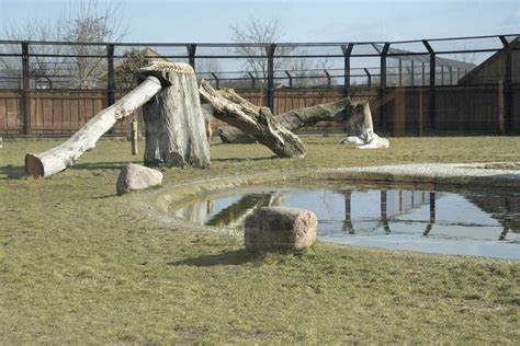 Zoo Safari Borysew - dla osób, którym marzy się zobaczyć białe lwy i ...