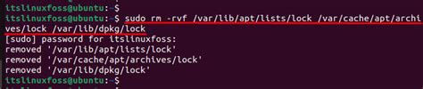 Fix Segmentation Fault Core Dumped Linux Its Linux Foss