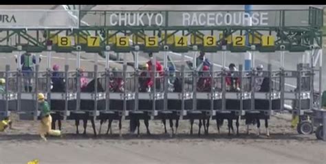 917 中央競馬 注目馬 なおパパの週末競馬